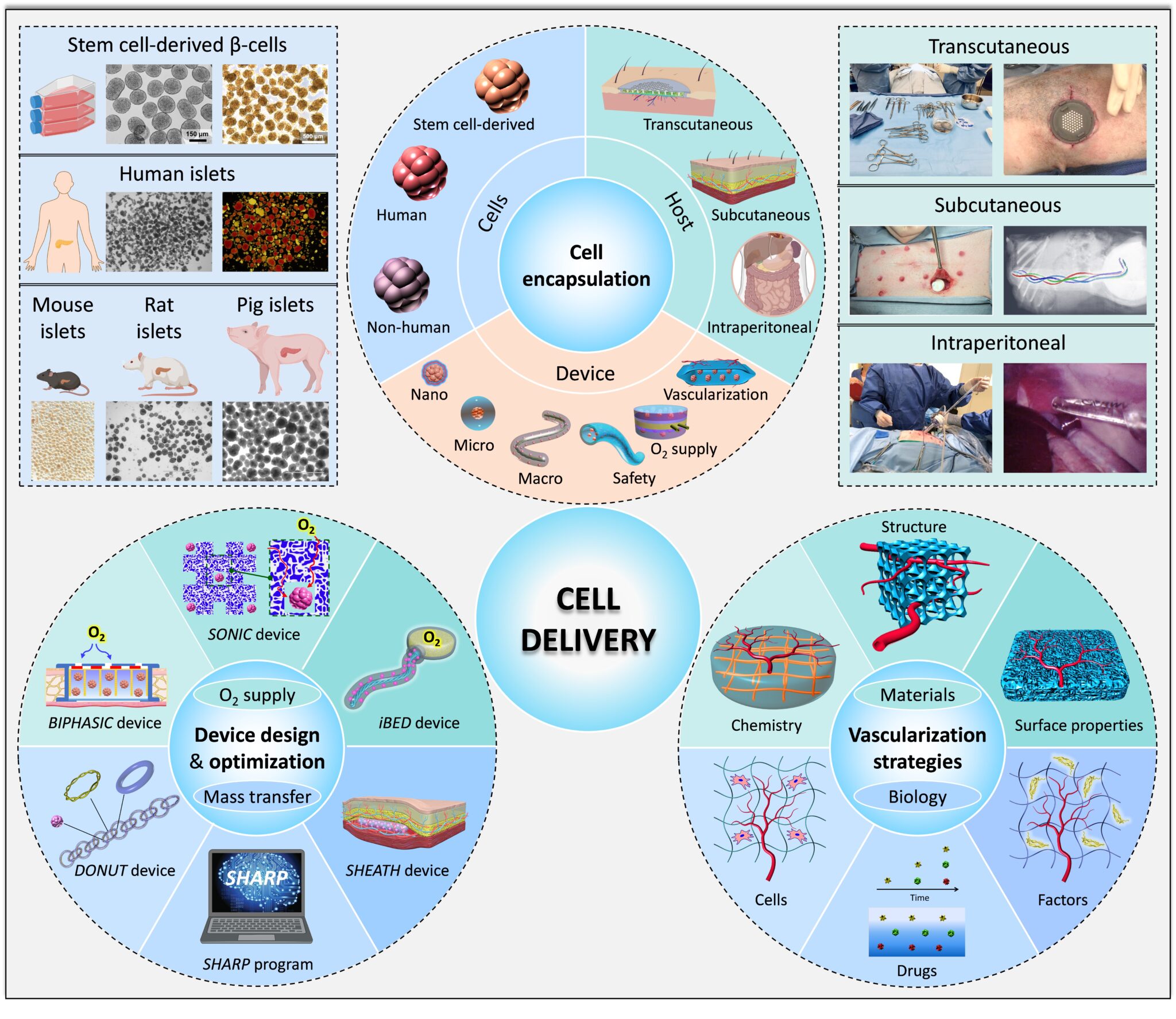 Research - wanglabustc.com